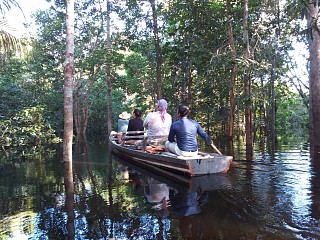 Amazon Nature and Wildlife Tours | Brazil Nature Tours